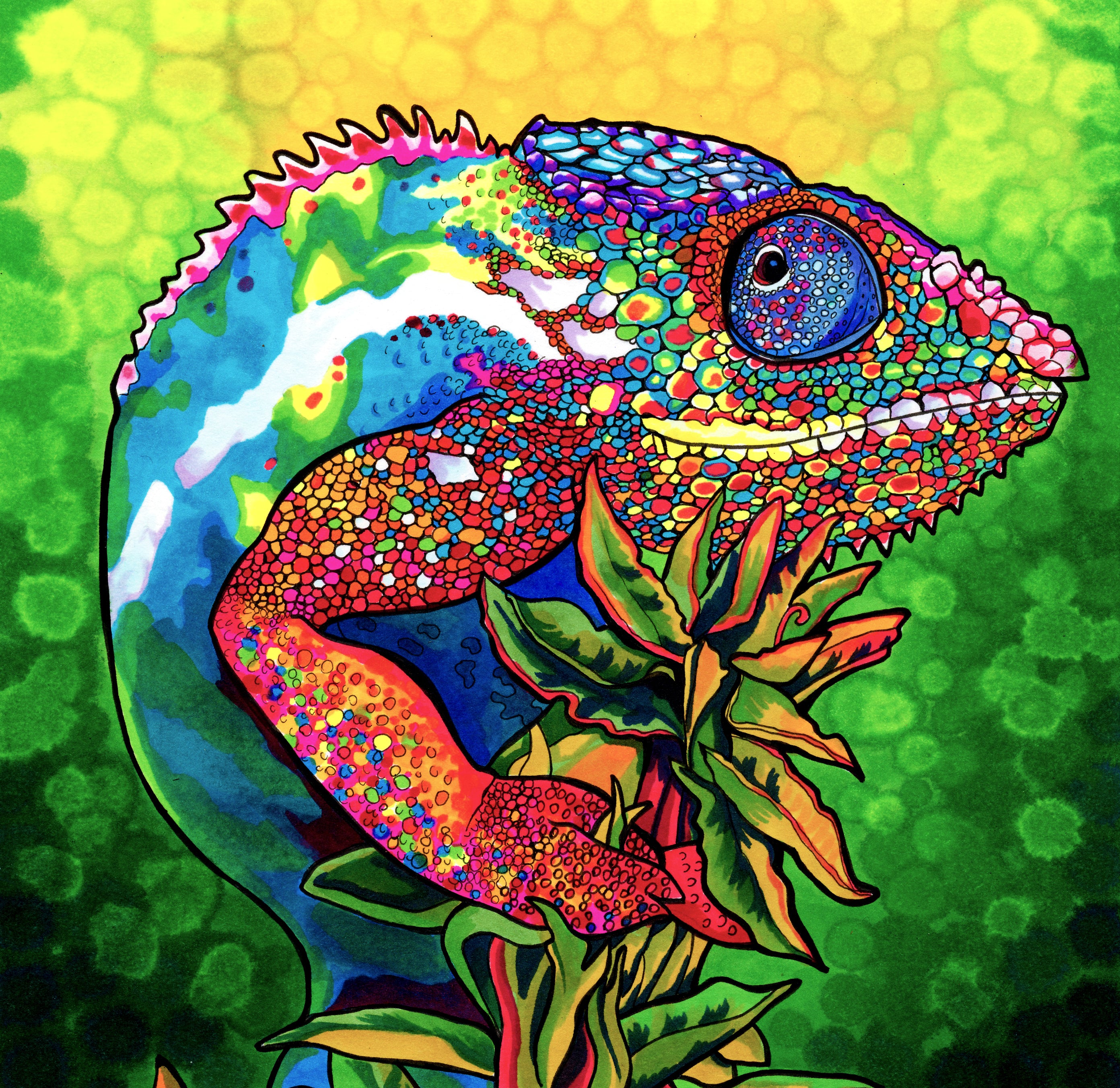 "Capricious Chameleon" Artist: Rachael Rosenkoetter | JadedGemShop Dia ...