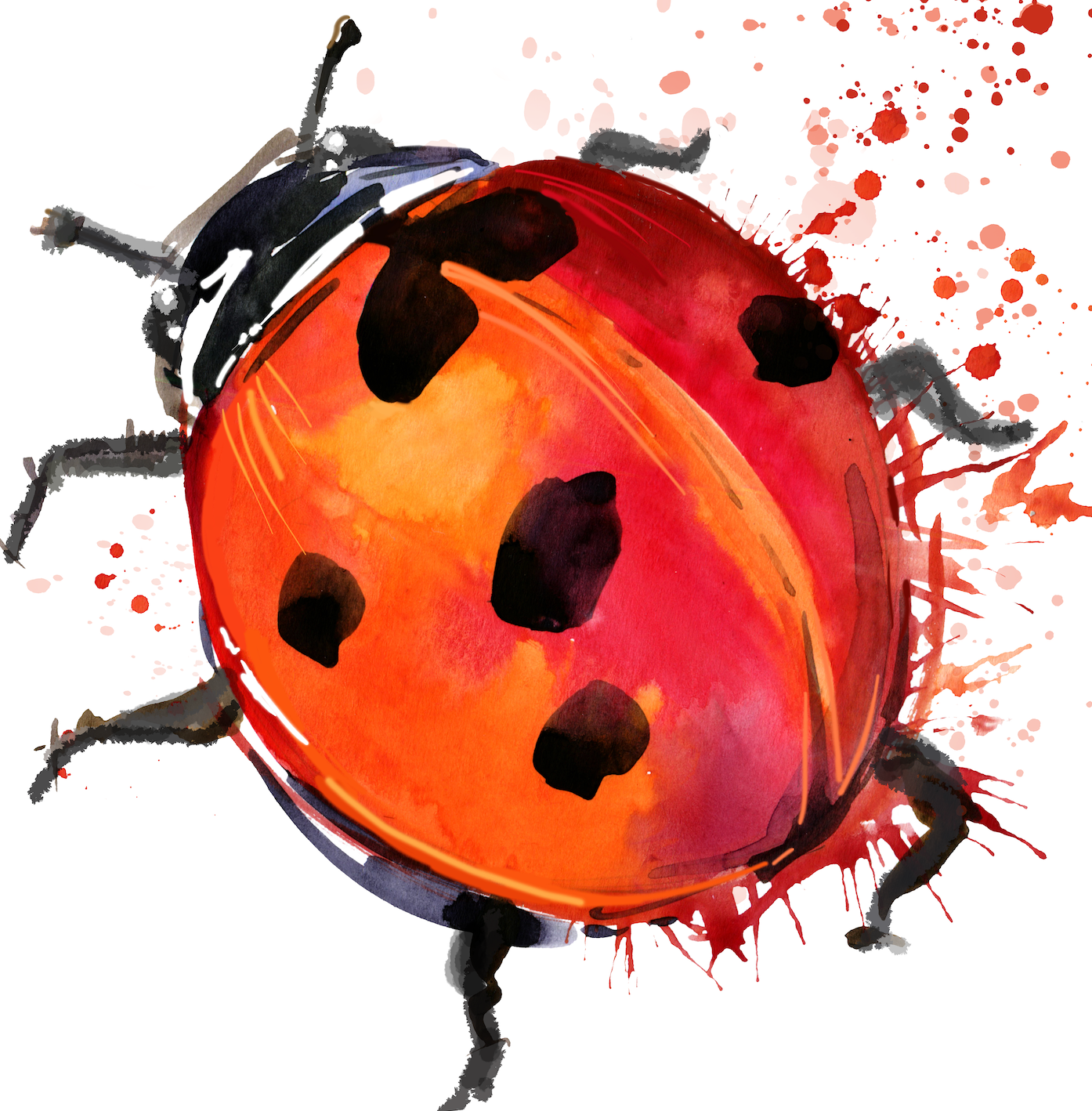 Mini JGS Cross-stitch Conversion Kits – Jaded Gem Shop